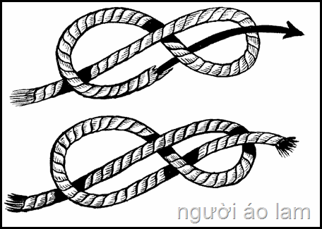 Cách làm gút (nút) số 8 (figure eight, flemish)